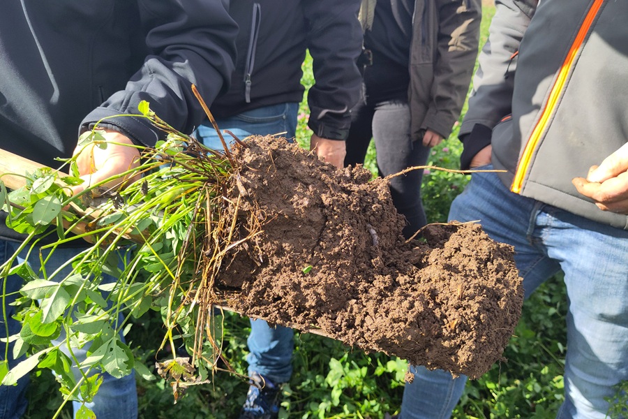 Stickstoffmanagement und Humusaufbau: Strategien für die ...
